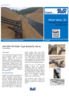 Brochures - American AVK